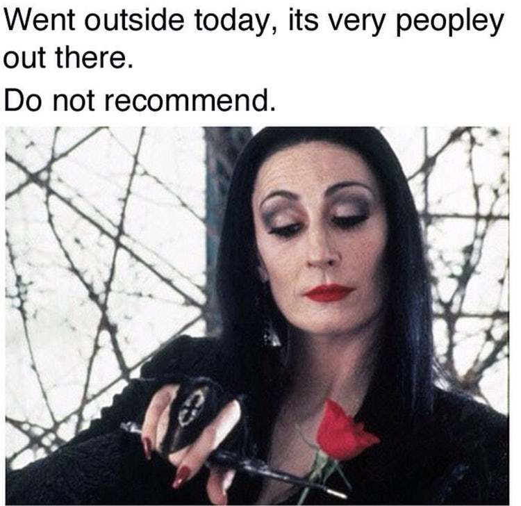 35 Memes That Only Introverts Will Understand – The Introverted Mommy